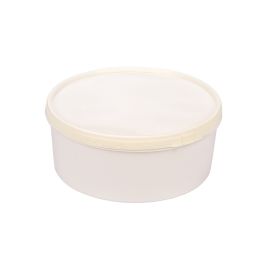 POTE HELADO PLASTICO .3LTS CON TAPA *UNID